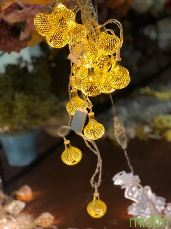 day-den dua-luoi-vang -02 – Midori