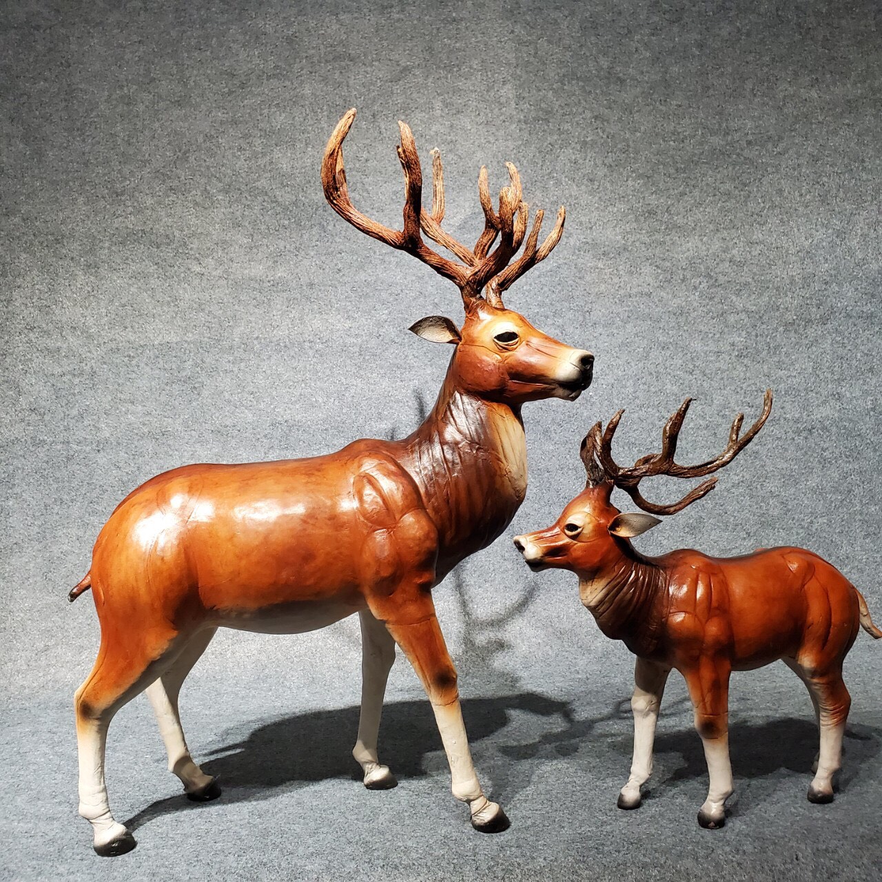 Tuan loc lon nho- AD – Midori